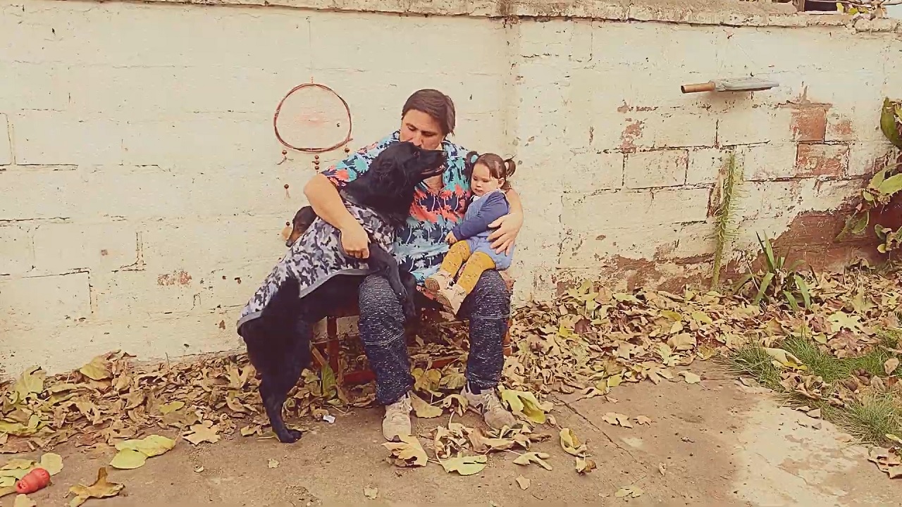 Foure lanza su nuevo single “Alegría” | Cool Music Chile