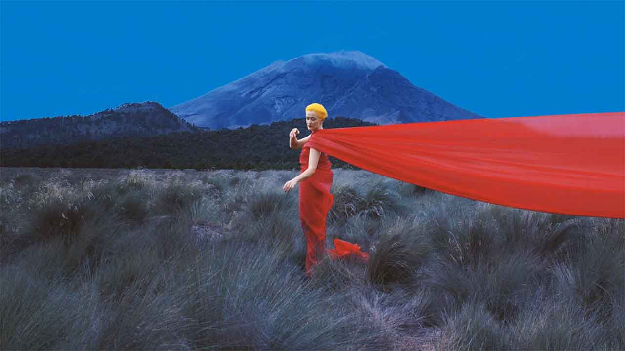 Paz Court estrena nueva versión de “Un Día Planté Una Rosa” junto a ...